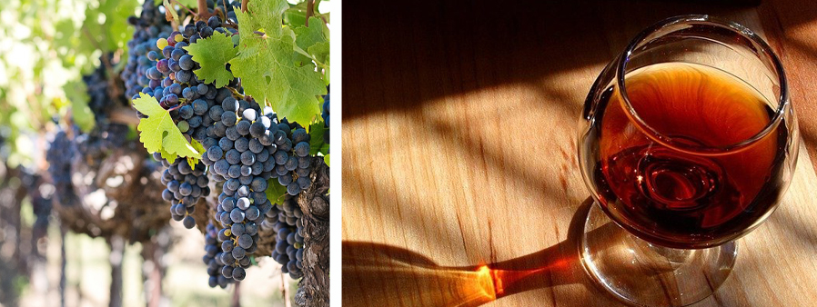 Brandy online kaufen - Brandy-Spezialitäten aus aller Welt | Weisshaus Shop